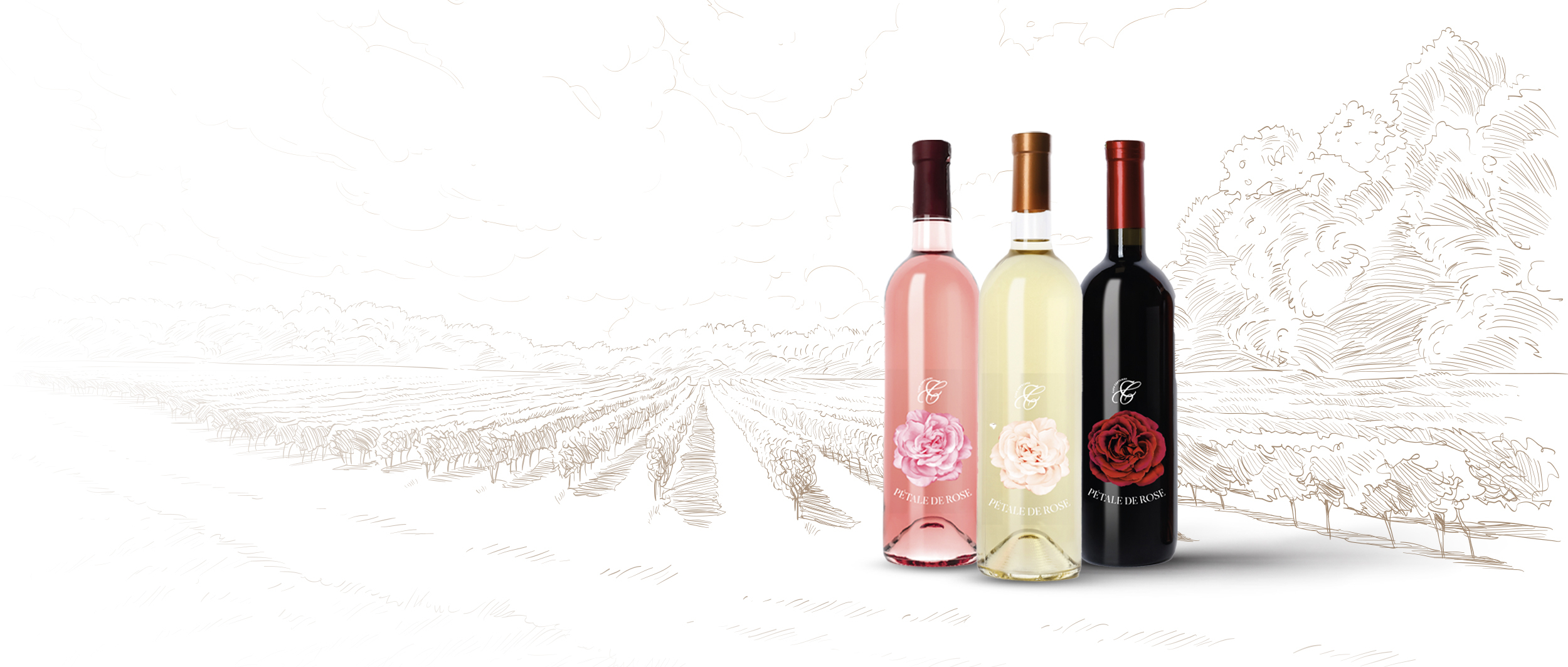 Entreprise de vin en Tunisie | Manufacture de vins